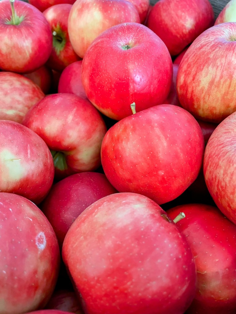 La saison des pommes continue! - Verger Heath Orchard - Cueillir des ...